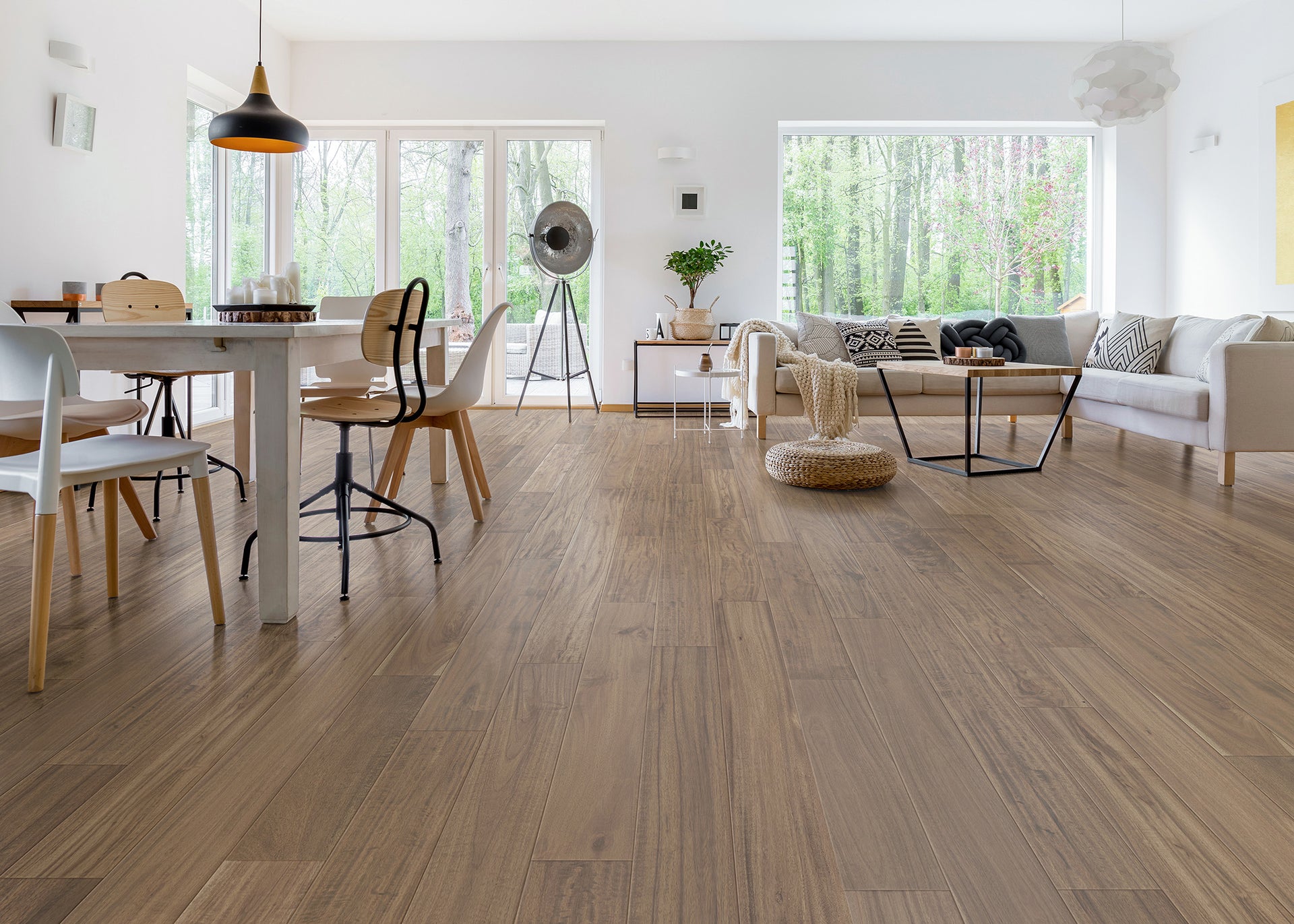 Clearance – Lumber Liquidators